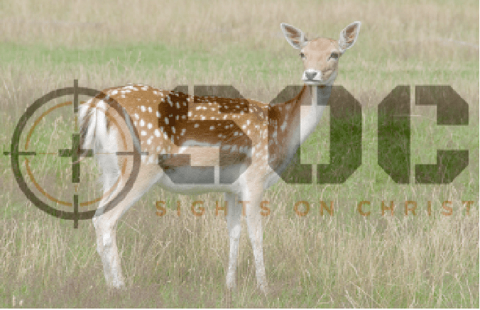 Events | Sights on Christ